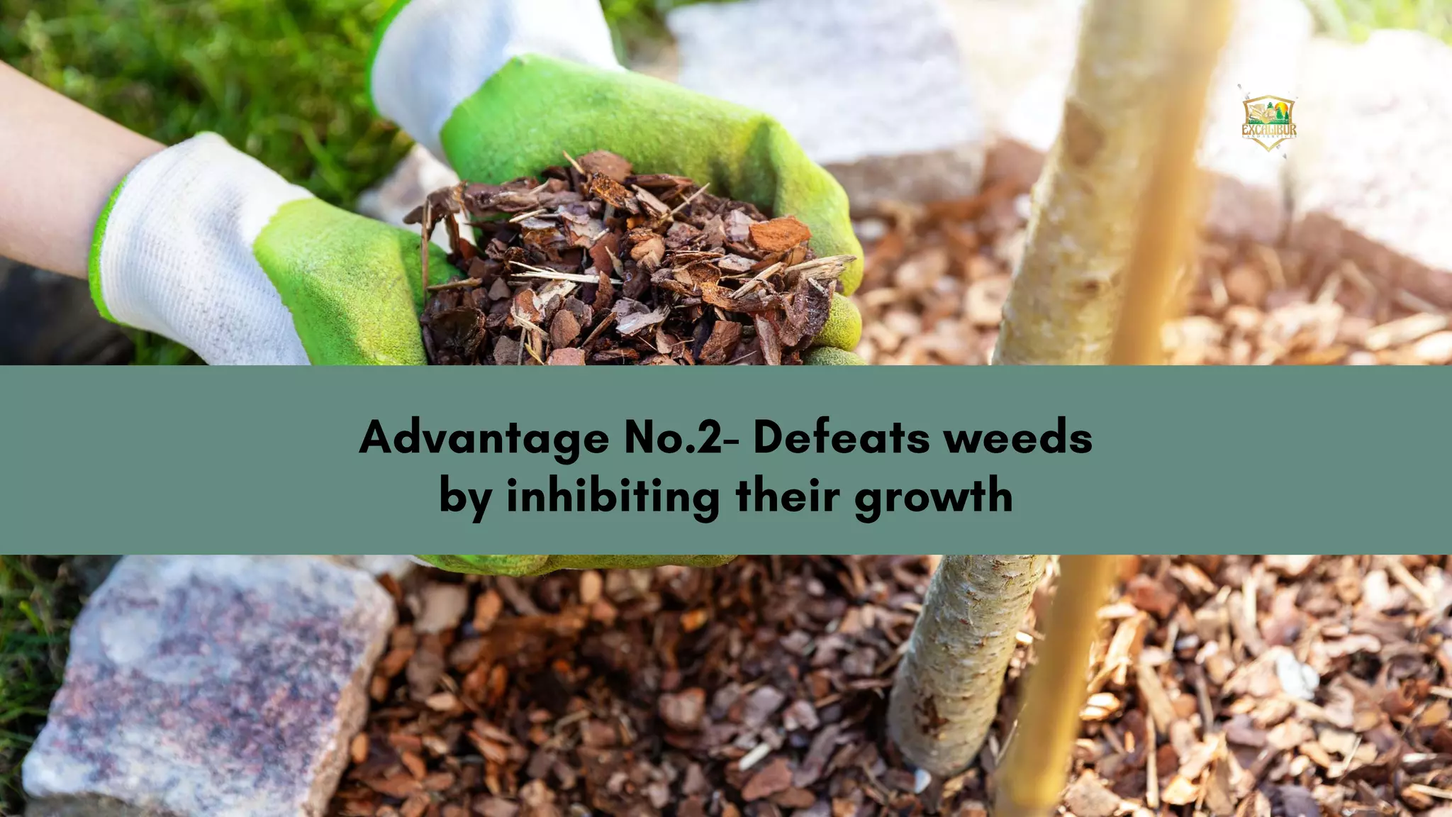 The Advantages and Disadvantages of Using Forestry Mulching For ...