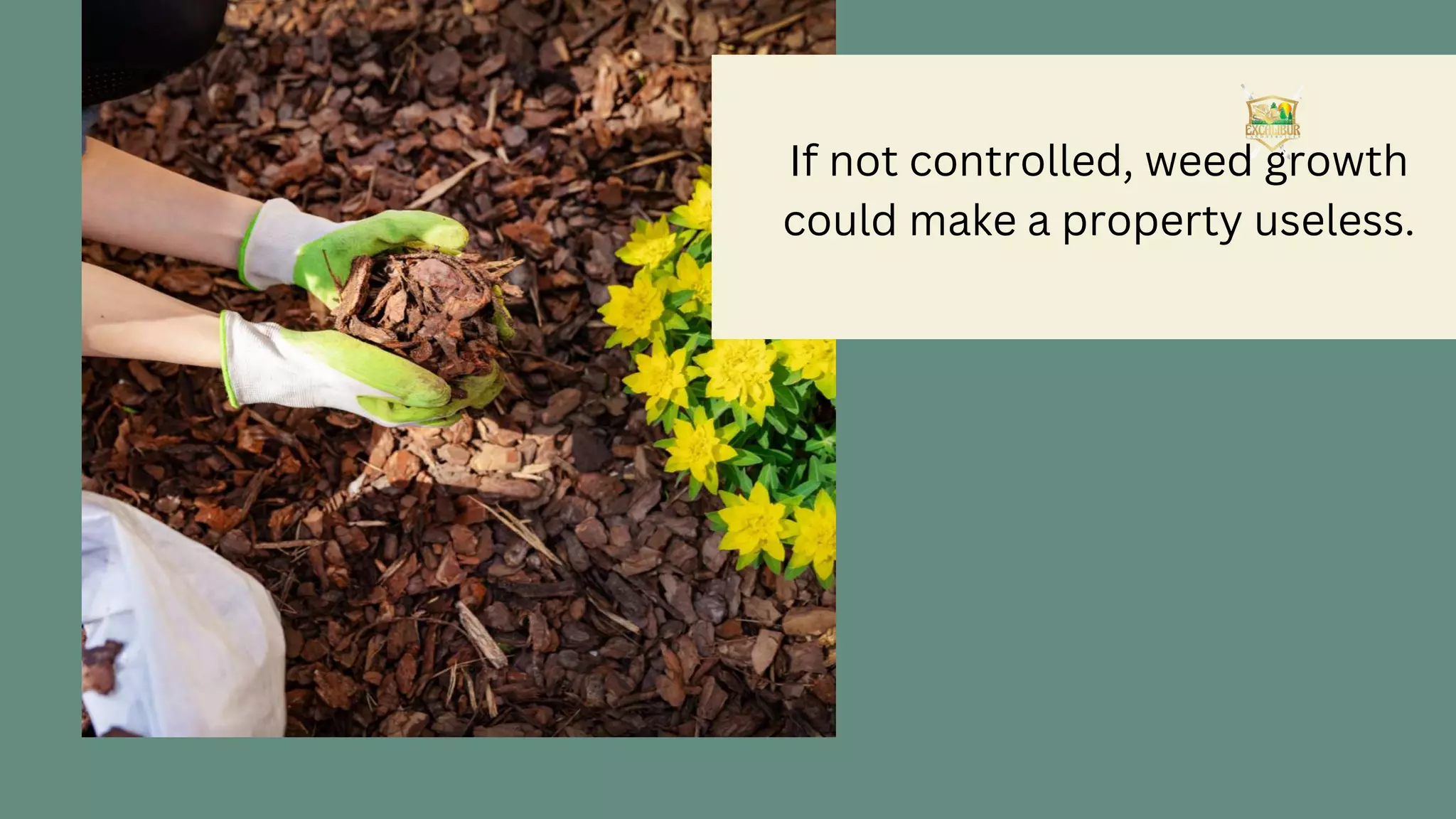 The Advantages and Disadvantages of Using Forestry Mulching For ...