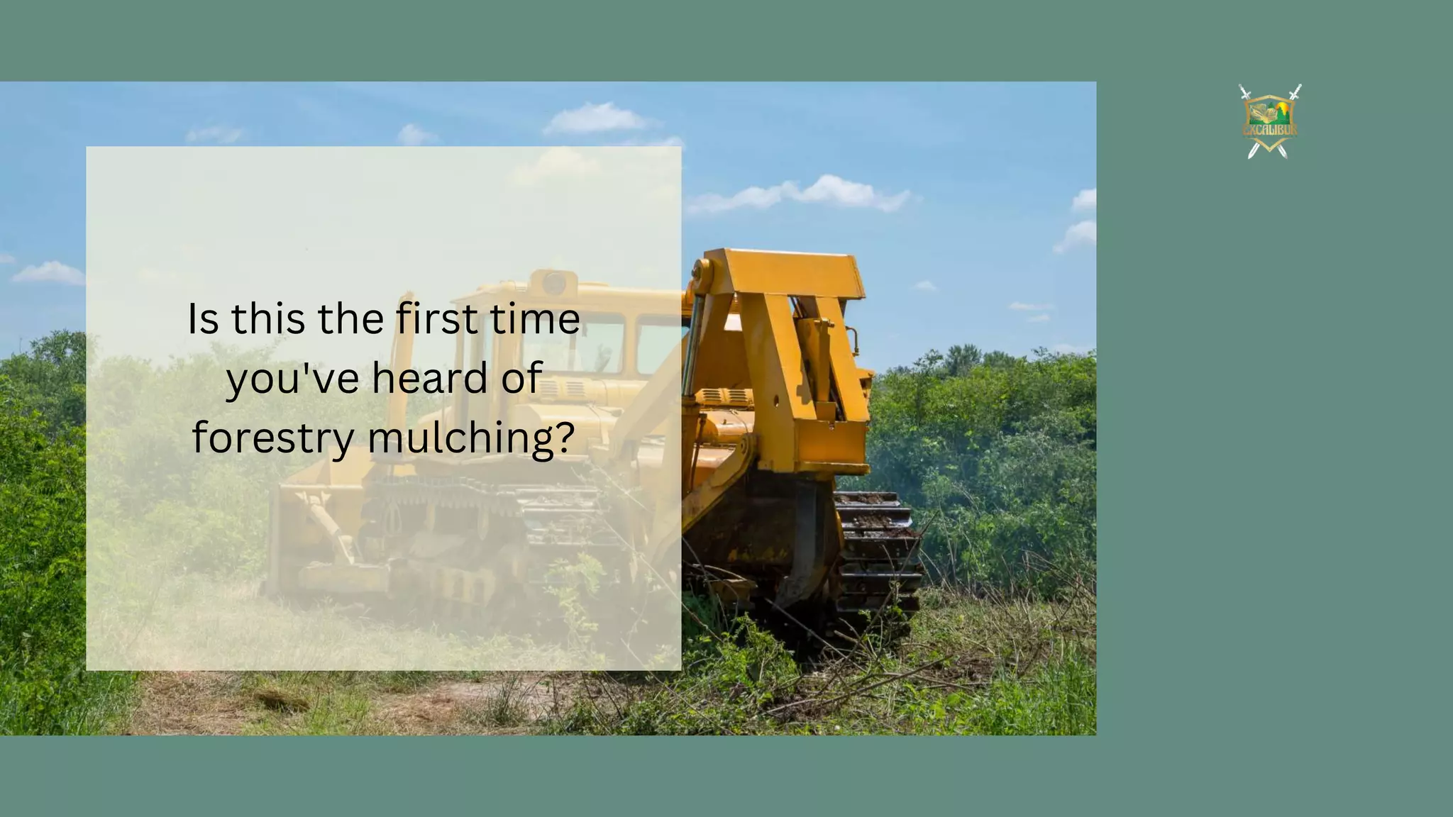 The Advantages and Disadvantages of Using Forestry Mulching For ...