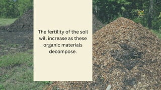 The Advantages and Disadvantages of Using Forestry Mulching For ...