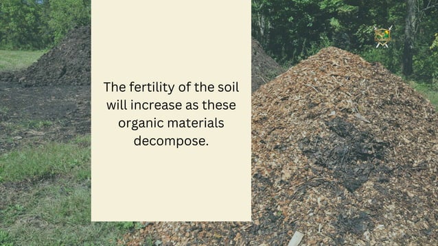 The Advantages and Disadvantages of Using Forestry Mulching For ...