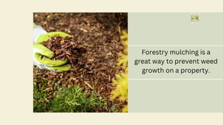 The Advantages and Disadvantages of Using Forestry Mulching For ...