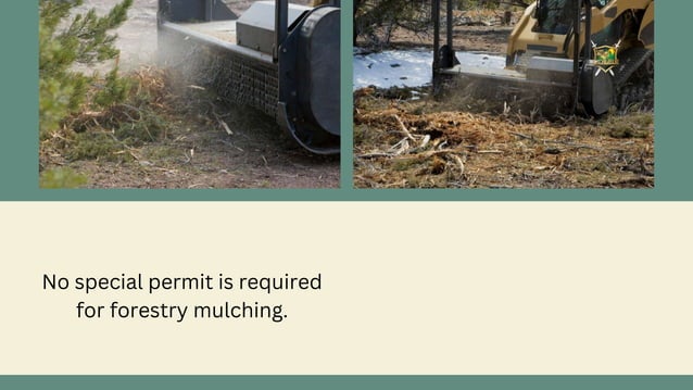 The Advantages and Disadvantages of Using Forestry Mulching For ...