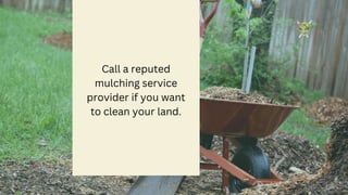 The Advantages and Disadvantages of Using Forestry Mulching For ...