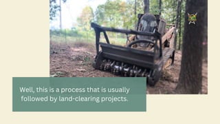 The Advantages and Disadvantages of Using Forestry Mulching For ...