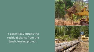 The Advantages and Disadvantages of Using Forestry Mulching For ...