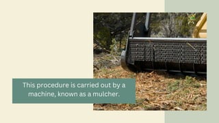 The Advantages and Disadvantages of Using Forestry Mulching For ...