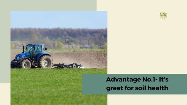 The Advantages and Disadvantages of Using Forestry Mulching For ...