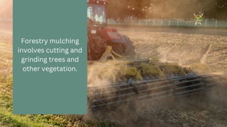 The Advantages and Disadvantages of Using Forestry Mulching For ...