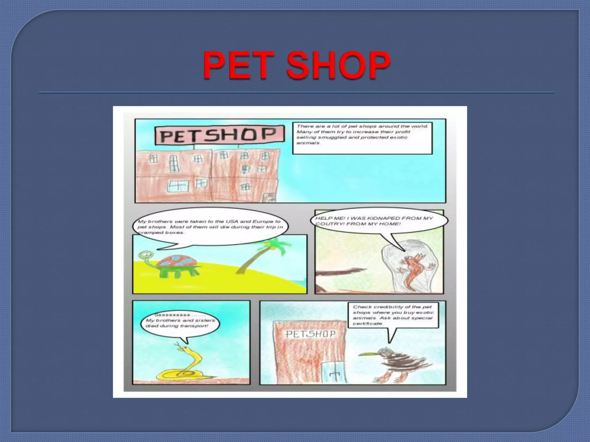 The Adventures of ECO PALS - PART 1 | PPT
