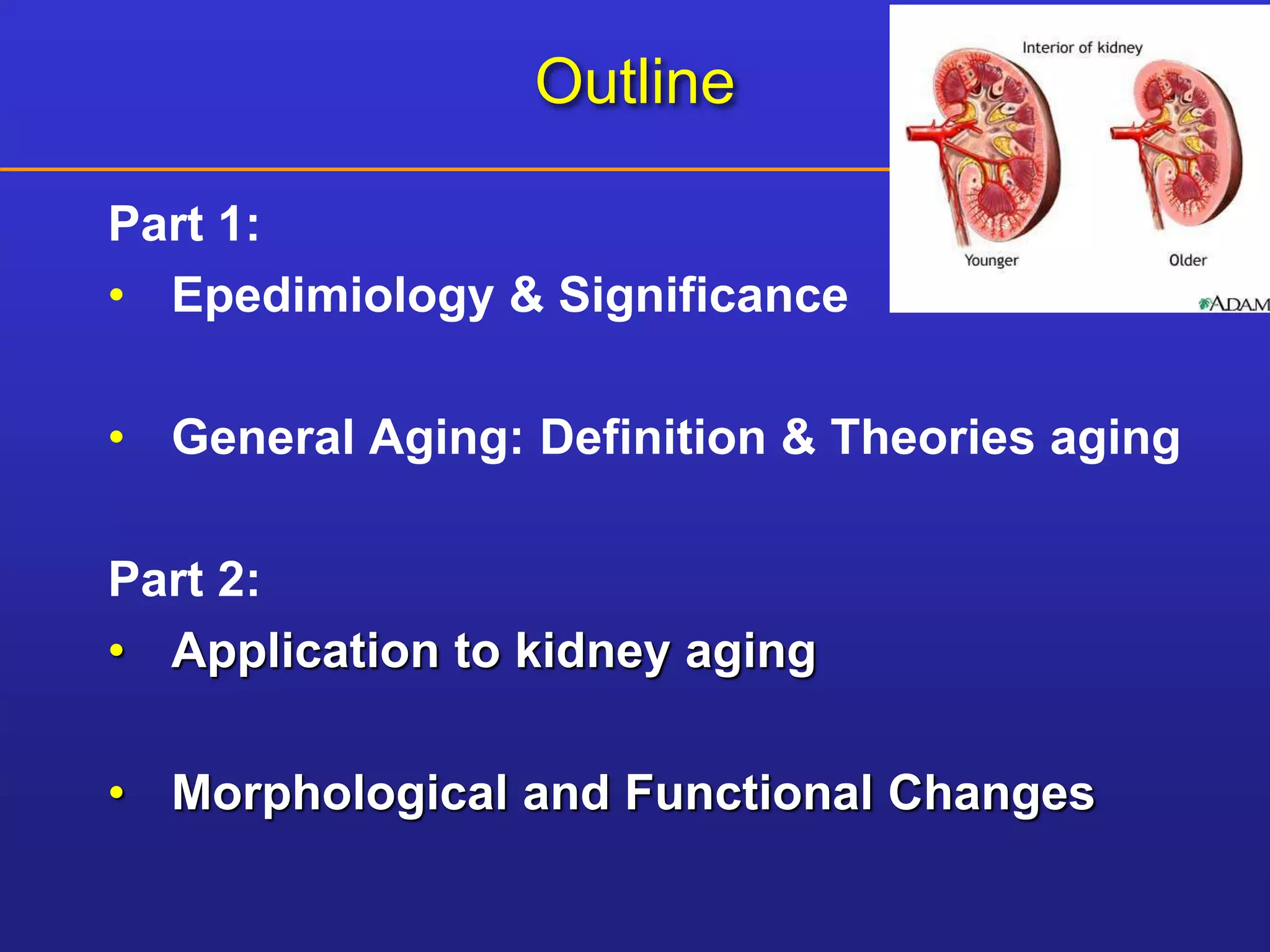 The aging kidneys | PPTX