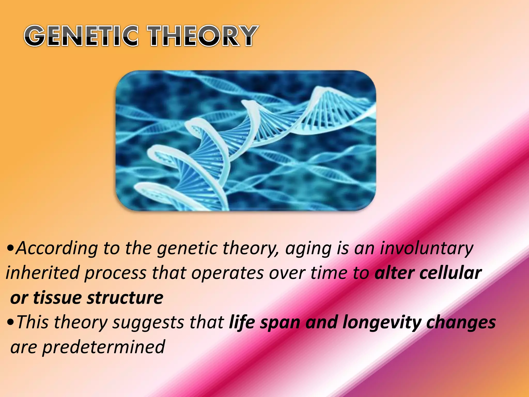 The aging ppt | PPTX