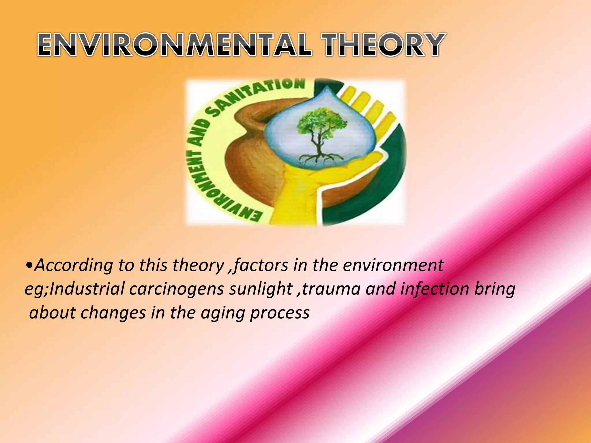 The aging ppt | PPTX