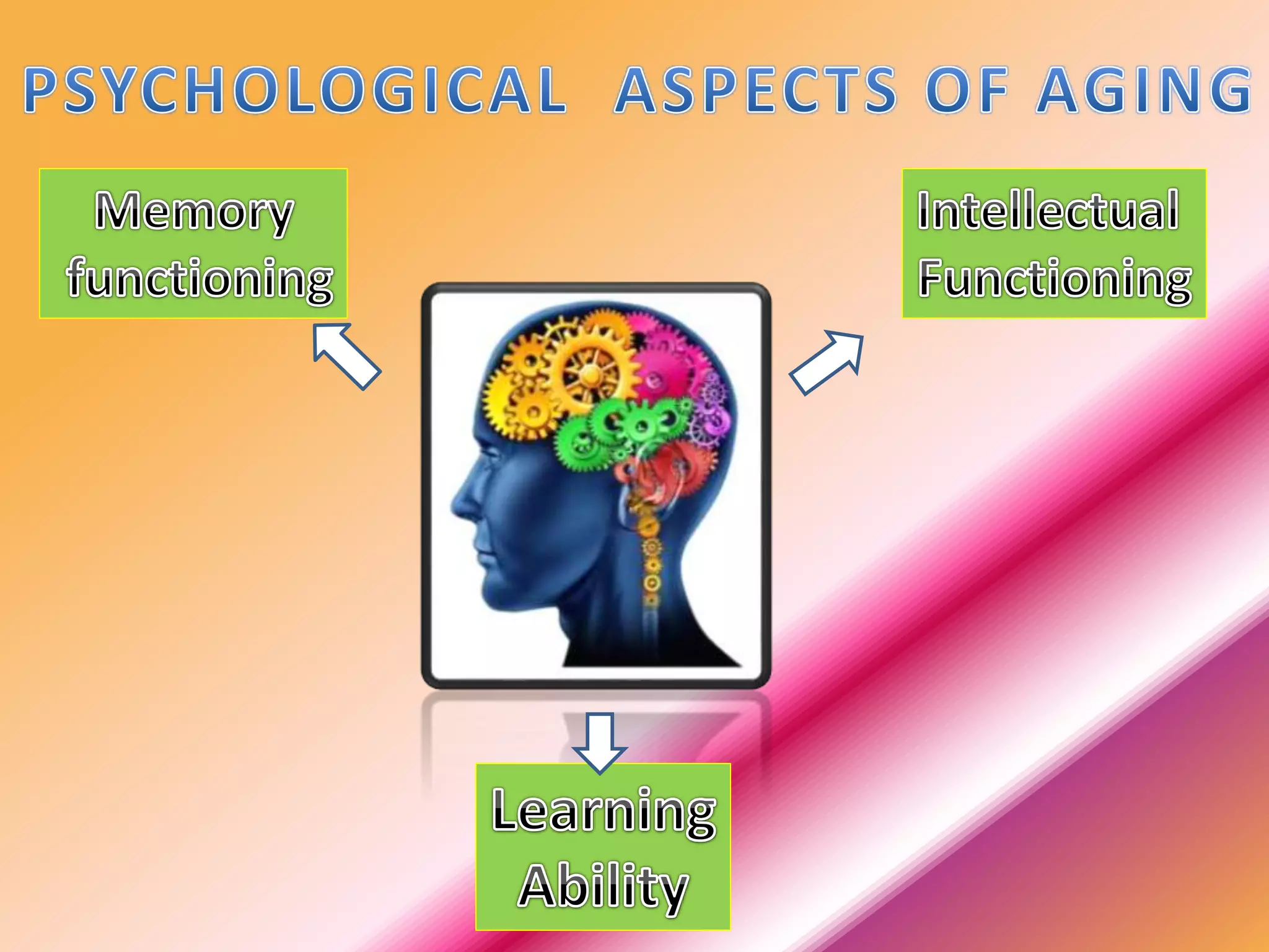 The aging ppt | PPTX