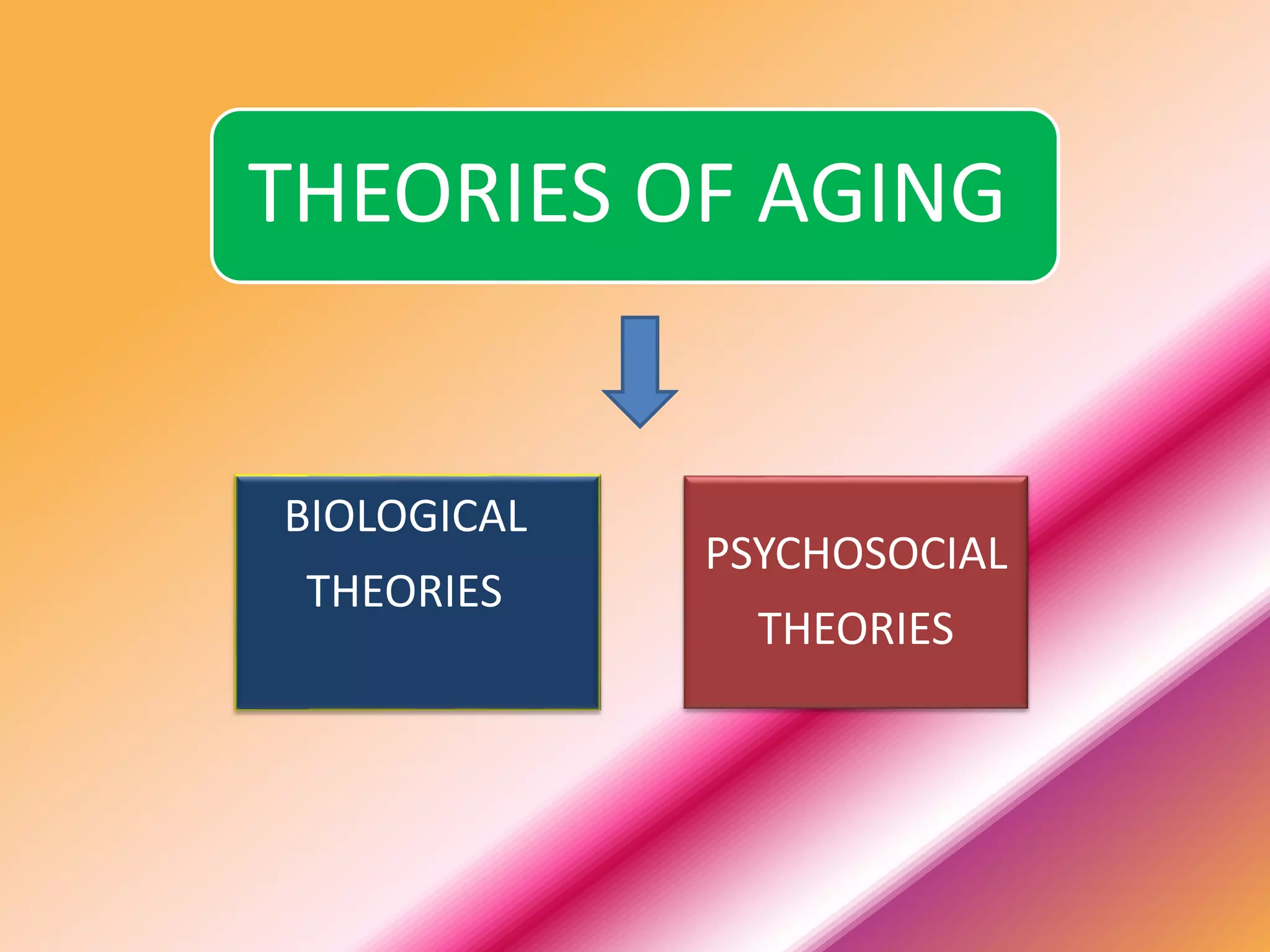 The aging ppt | PPTX