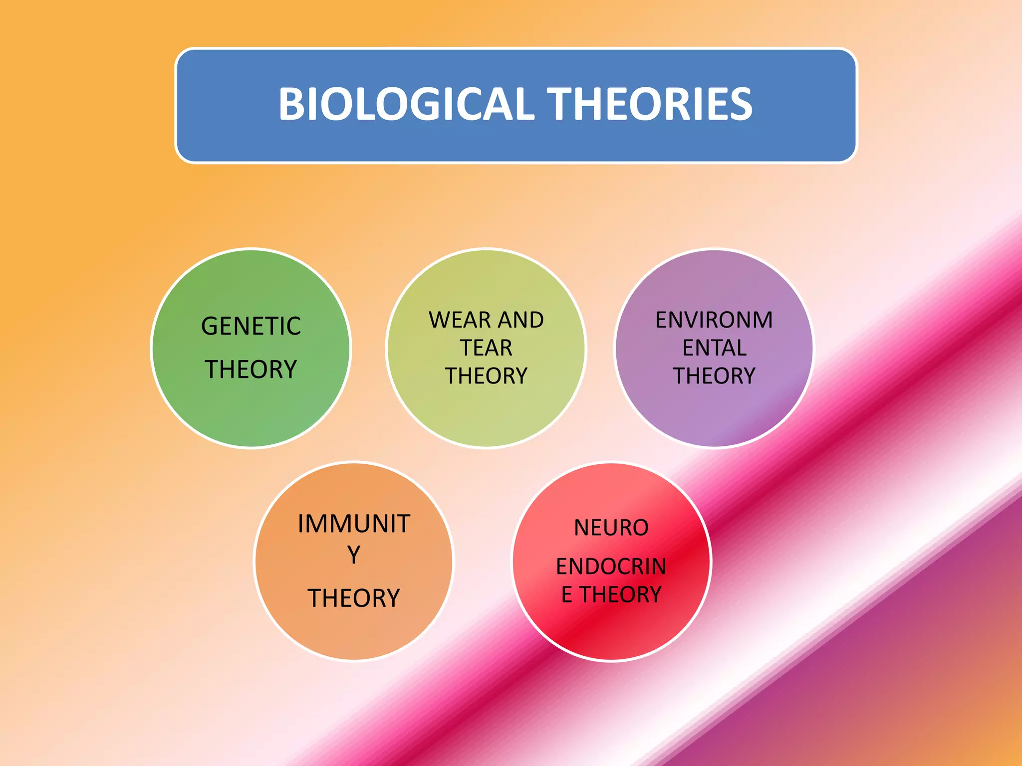 The aging ppt | PPTX