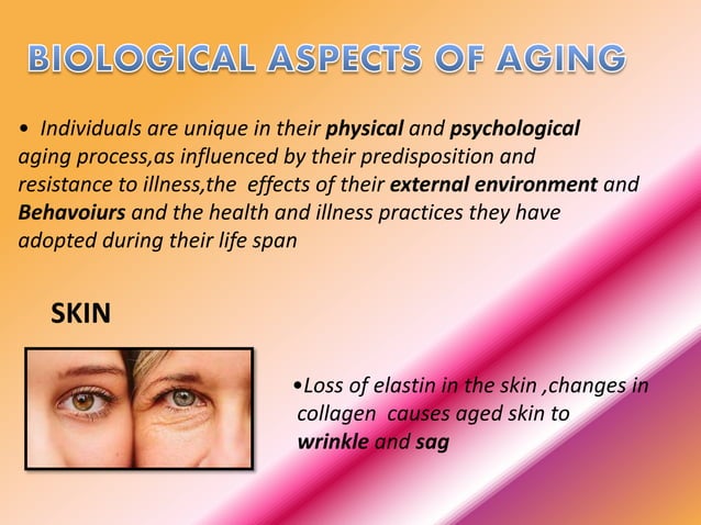 The aging ppt | PPTX