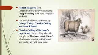 The agrarian revolution | PPTX