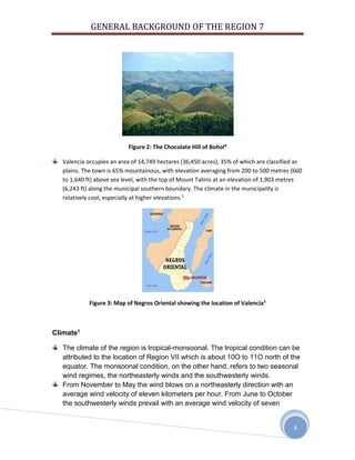 The agribusiness system of region 7 | DOCX