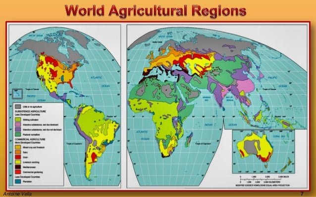 The Agricultural World (Parts 1 4)