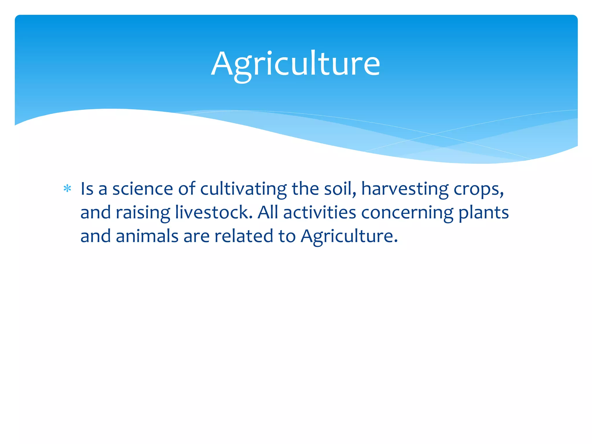 The agriculture sector | PPTX