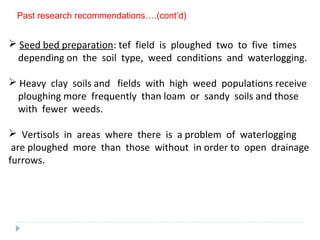 The Agronomy of Tef | PPT