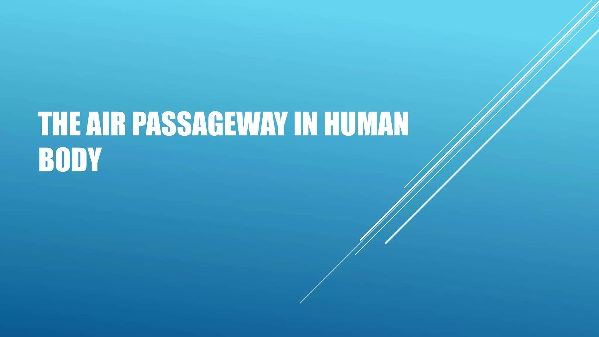 Air passageway in human body | PPTX