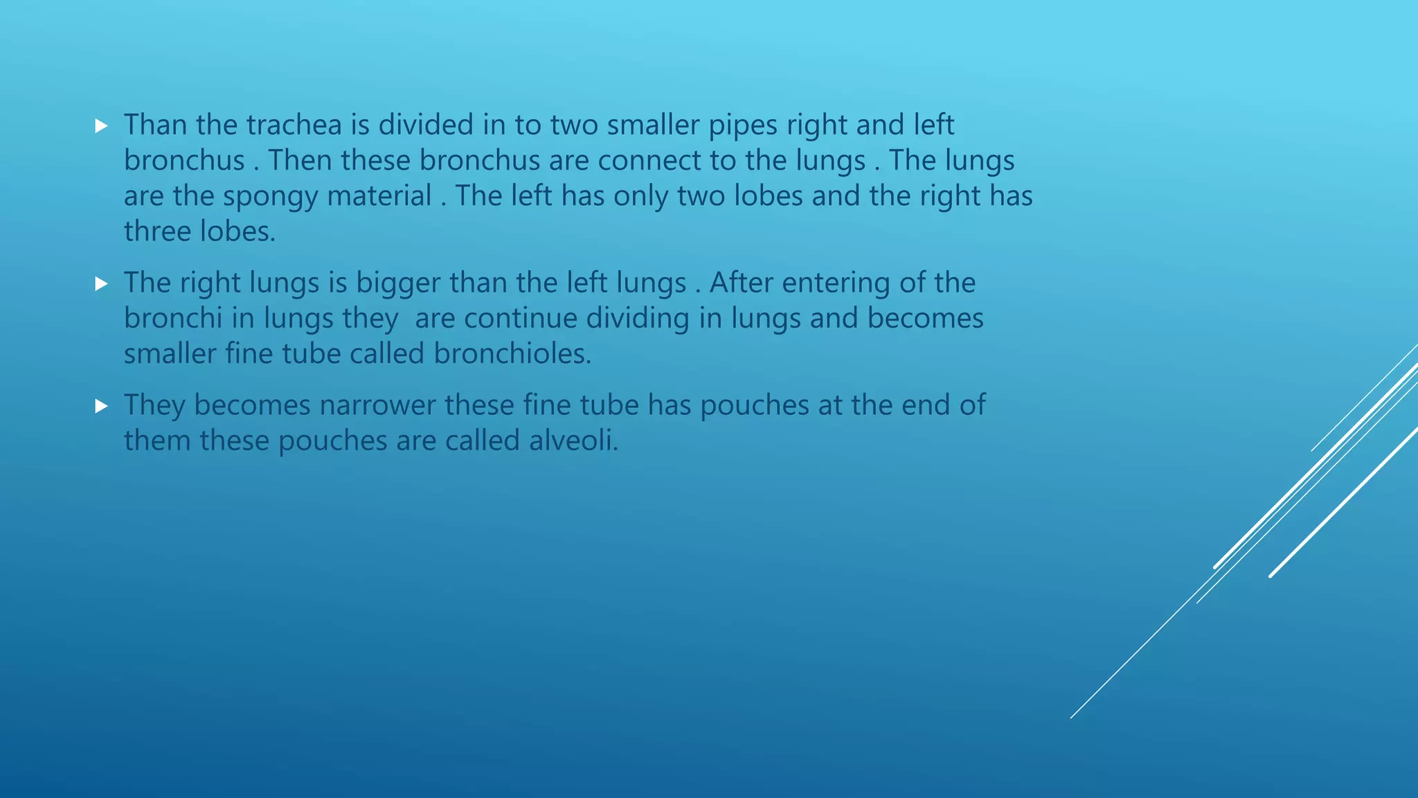 Air passageway in human body | PPTX