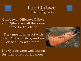 The Algonquian Native Americans Final | PPT