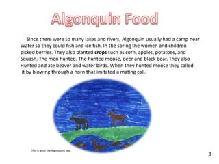 The Algonquin | PPTX