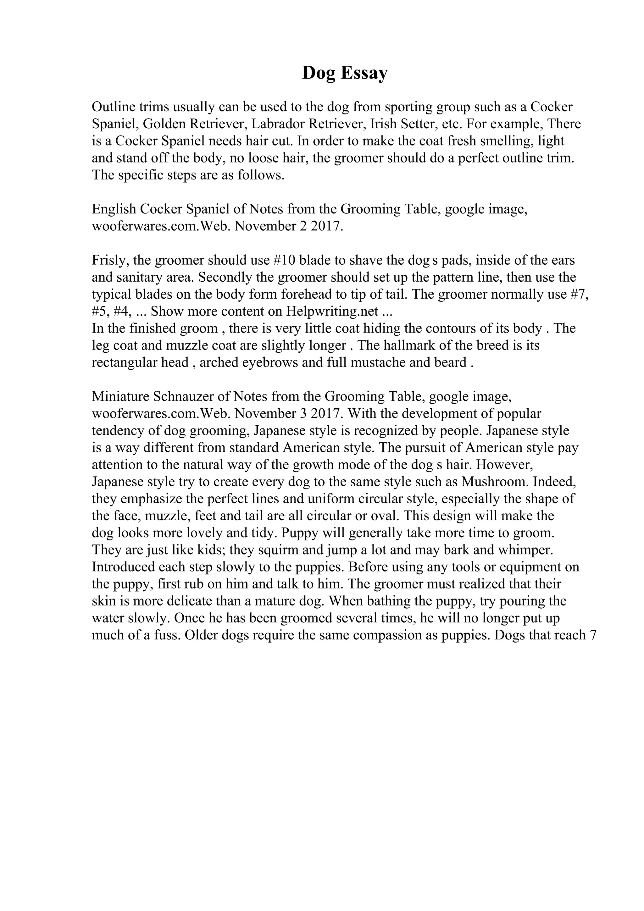 The Allegory Of The Cave Essay.pdf