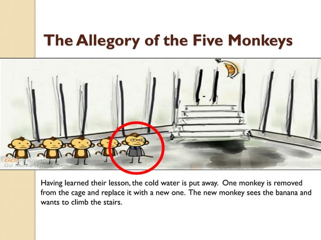 The allegory of the five monkeys | PDF | Zoos & Aquariums | Attractions