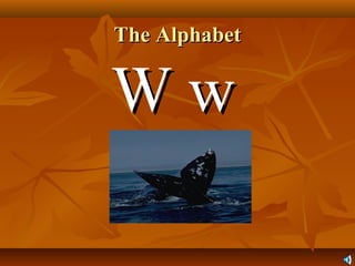The alphabet | PPT