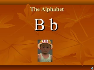 The alphabet | PPT