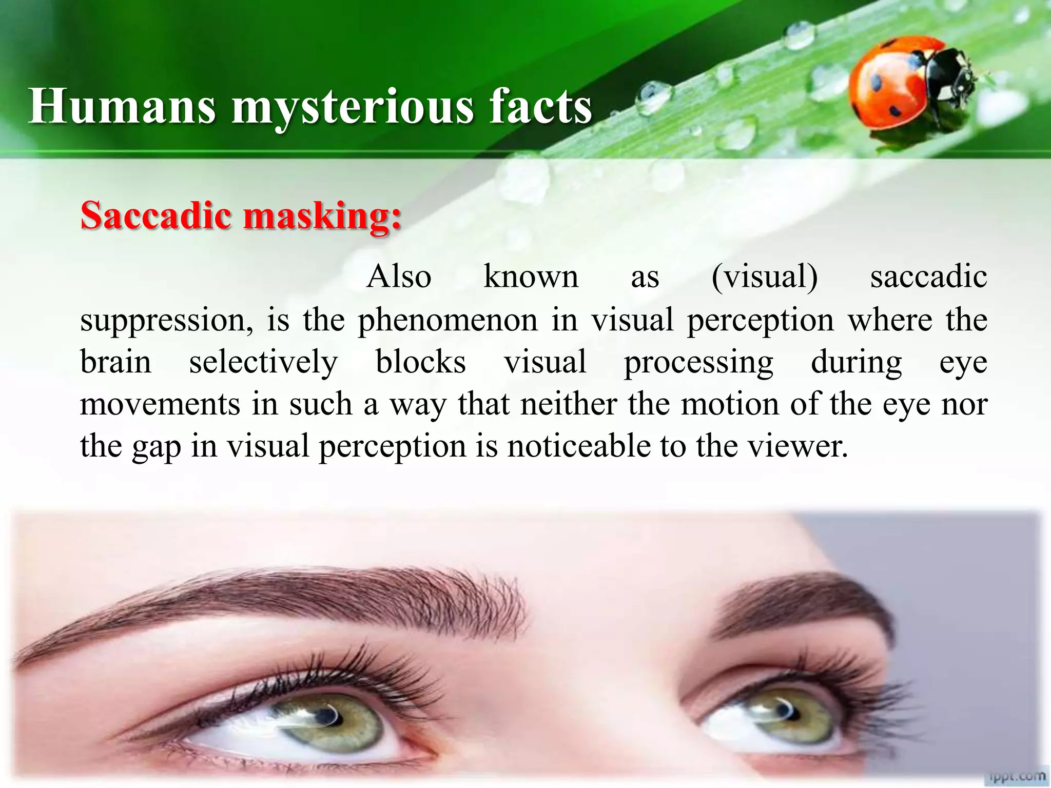 The amazing biological facts | PPTX