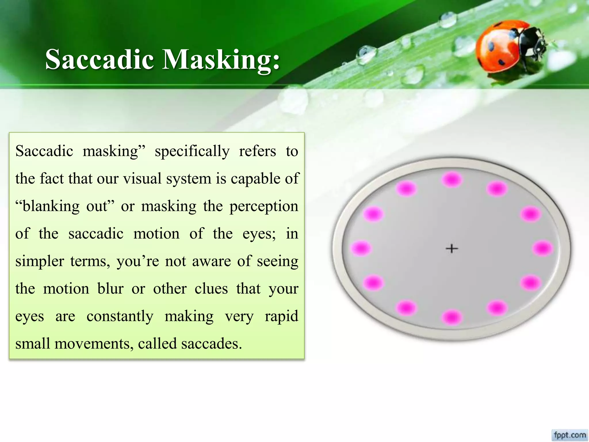 The amazing biological facts | PPTX