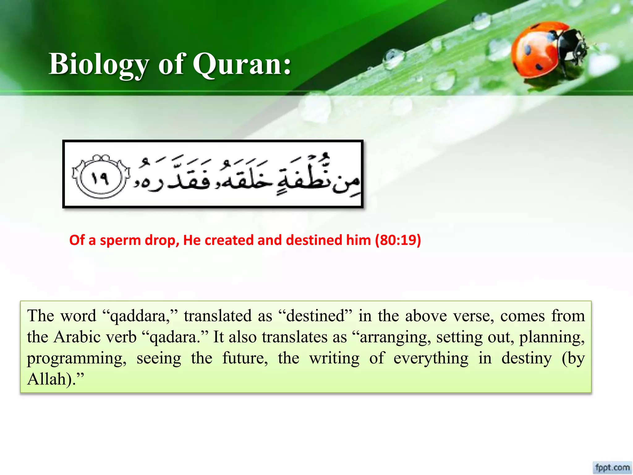 The amazing biological facts | PPTX