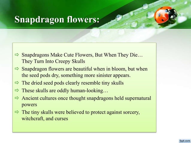 The amazing biological facts | PPTX