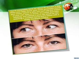 The amazing biological facts | PPTX