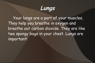 The amazing muscles! | PPT