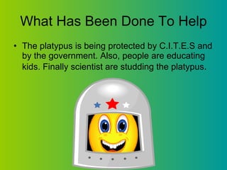 The amazing platypus | PPT