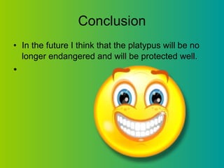 The amazing platypus | PPT