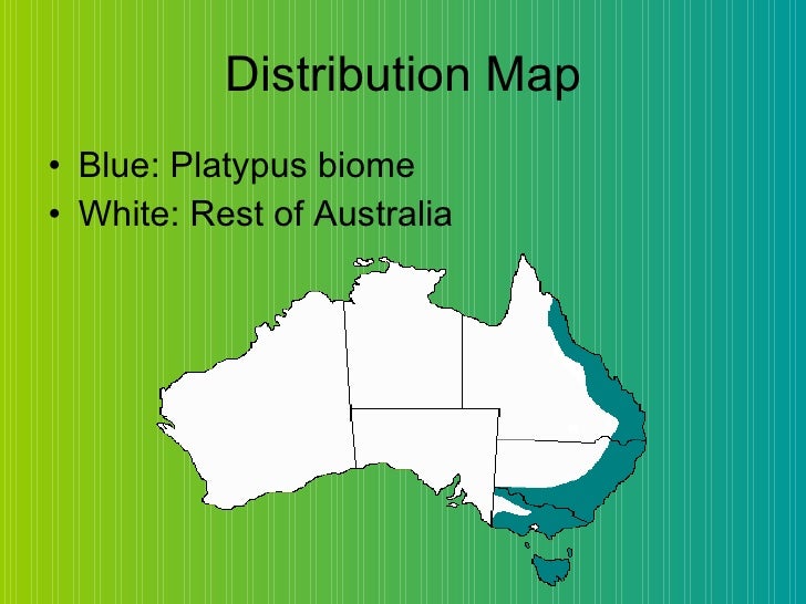 The amazing platypus