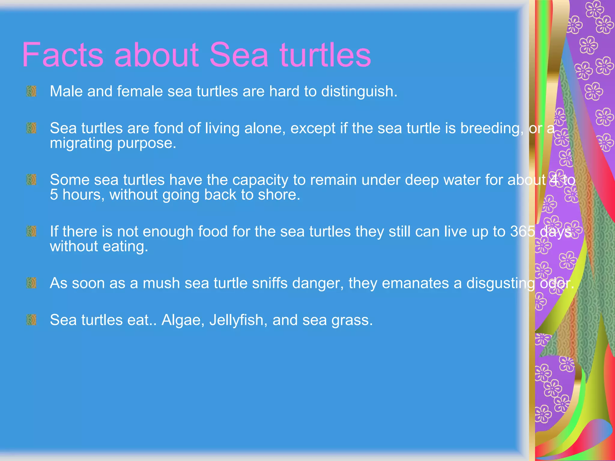 The amazing turtles!! | PPT