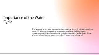 The Amazing Water Cycle for grade 3.pptx