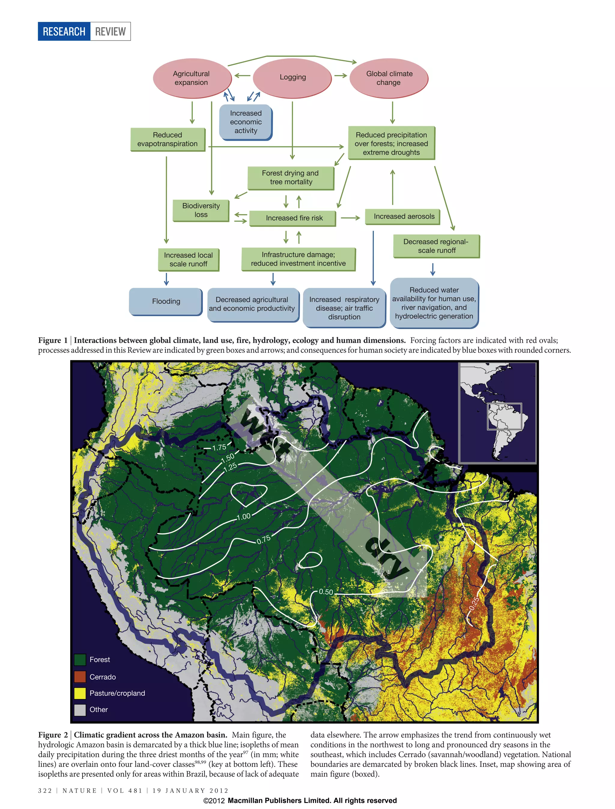 The amazon basin_in_transition | PDF