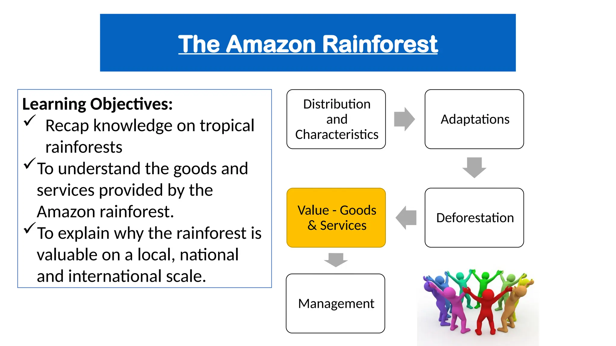 The AMazon causes of deforestation and effects.pptx