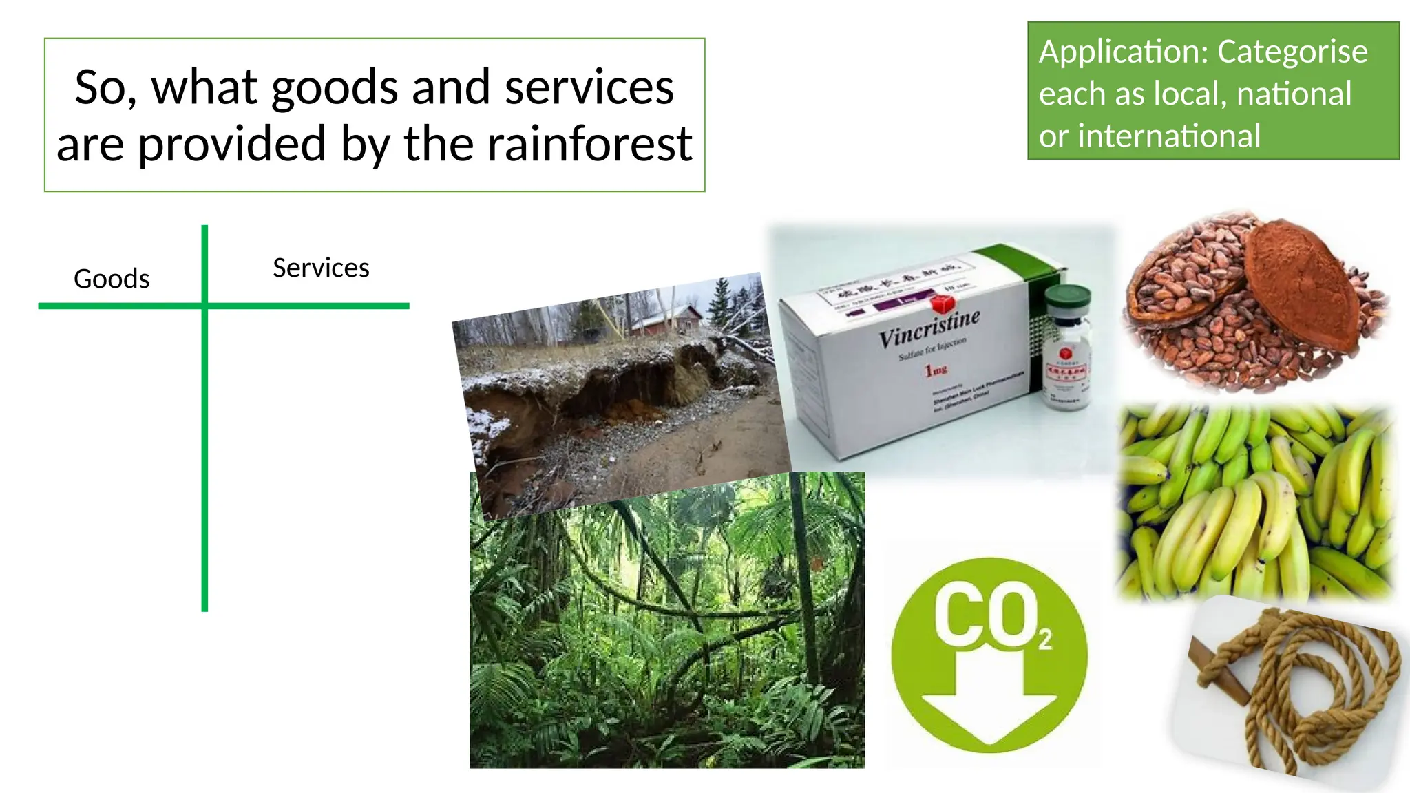 The AMazon causes of deforestation and effects.pptx