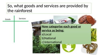 The AMazon causes of deforestation and effects.pptx