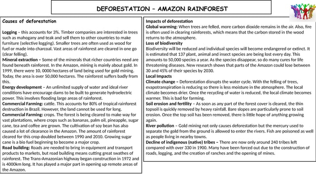 The AMazon causes of deforestation and effects.pptx